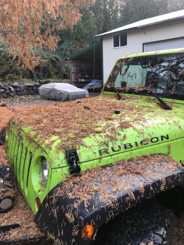 Hazards of Autum – Bad Gecko Off Road